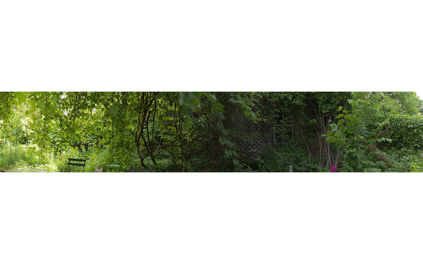 Tom Bamberger - MOWA