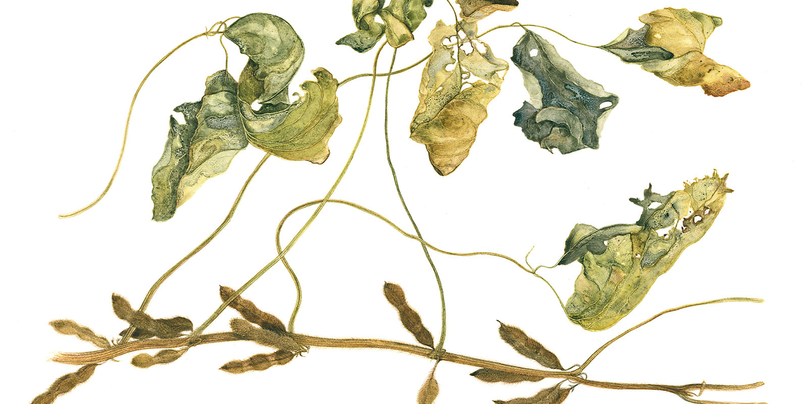 Lynne Railsback and Katie Musolff - MOWA