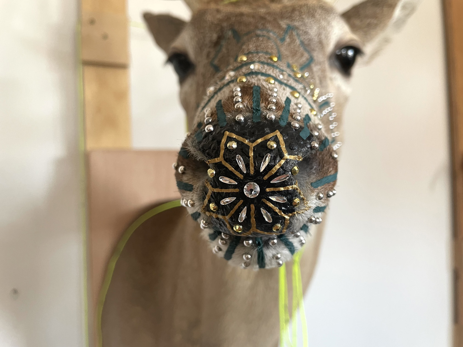 Artist Interview: Cassandra Smith - MOWA